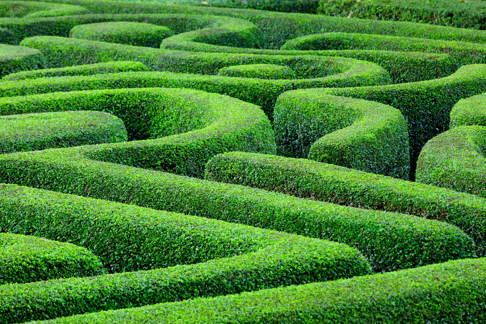 Auto Enrolment Colchester Essex auto-enrolment-colchester-essex